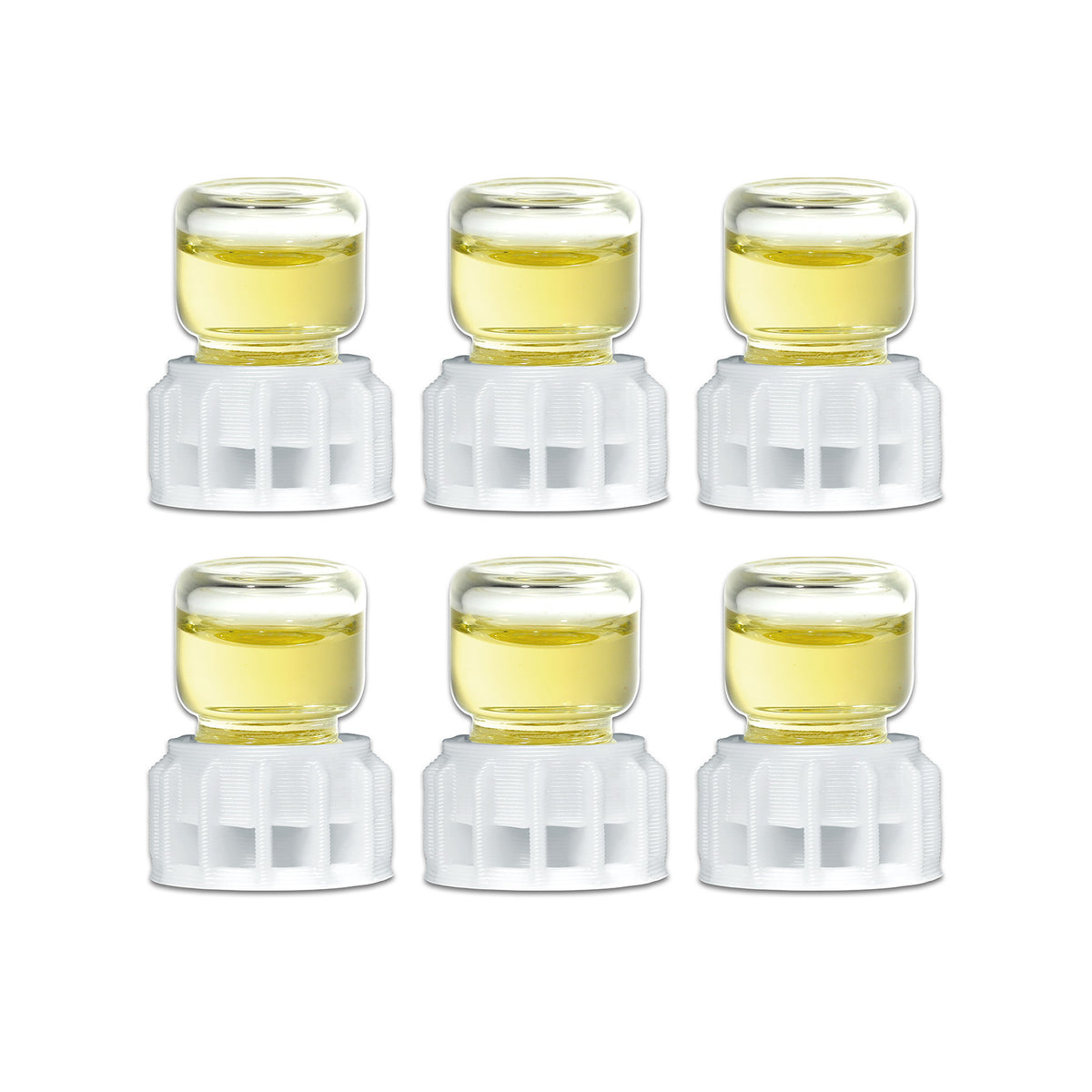 Micro (6 pc.) | byFormica Ant Products